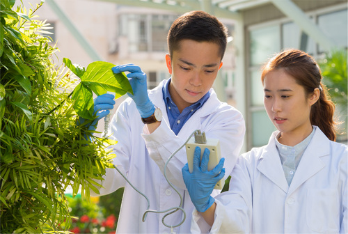Faculty of Science, Hong Kong Baptist University